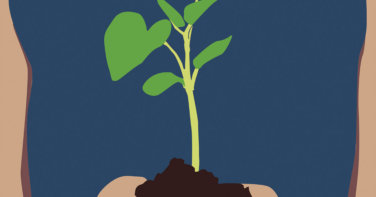 Sowing the seeds of Quakerism | Quakers in Britain