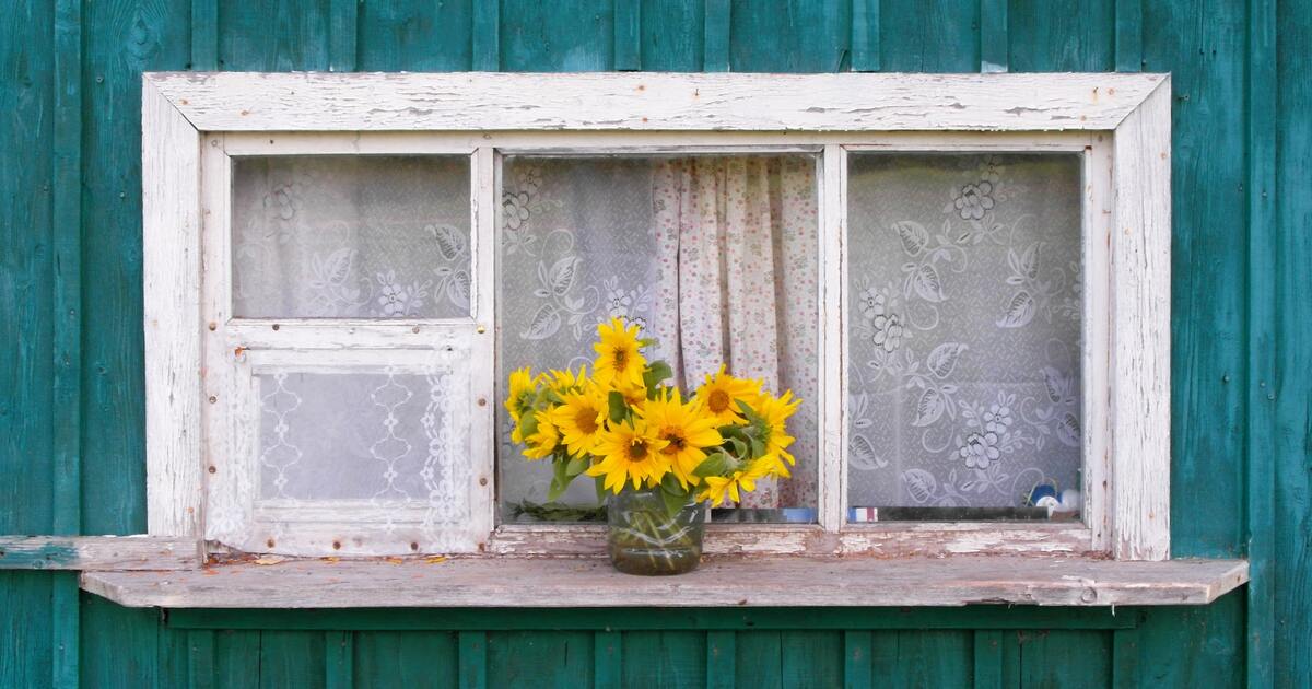 People-to-people diplomacy with Russian people | Quakers in Britain