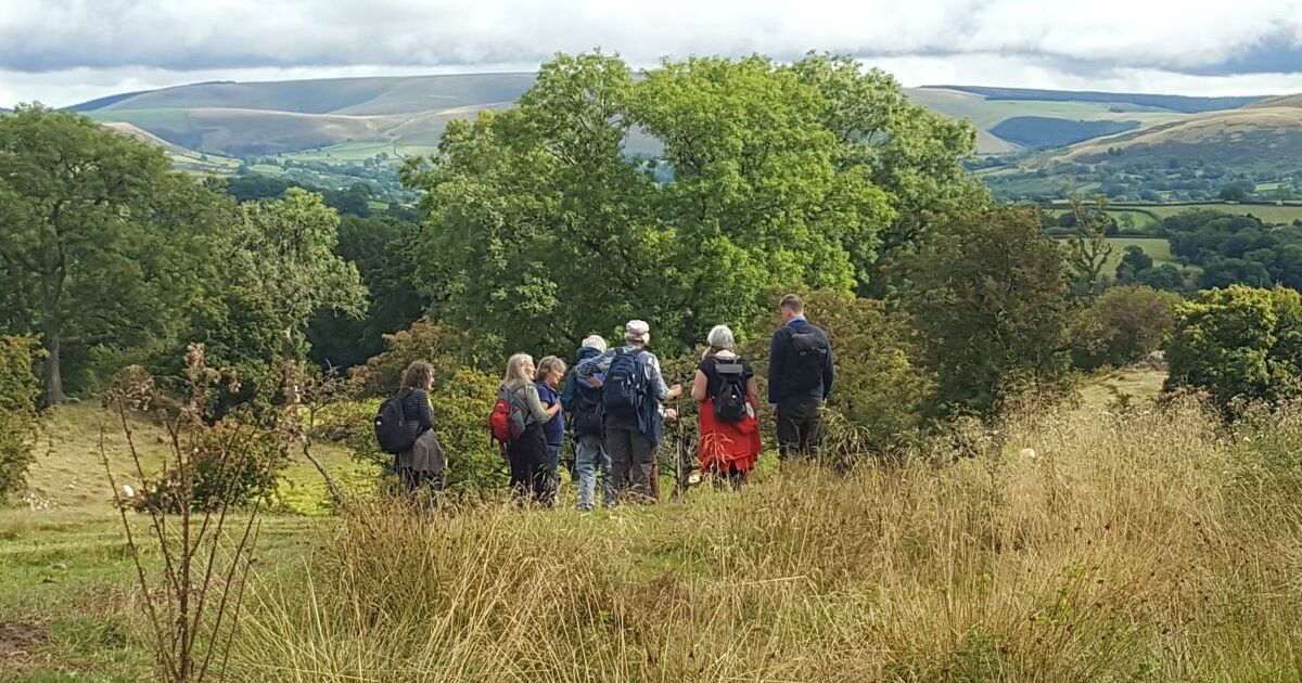 Quakers across Wales cut bureaucracy to realise Quaker vision | Quakers ...