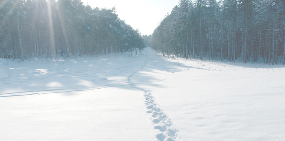 Peace is every step: a silent walking meditation for peace | Quakers in ...